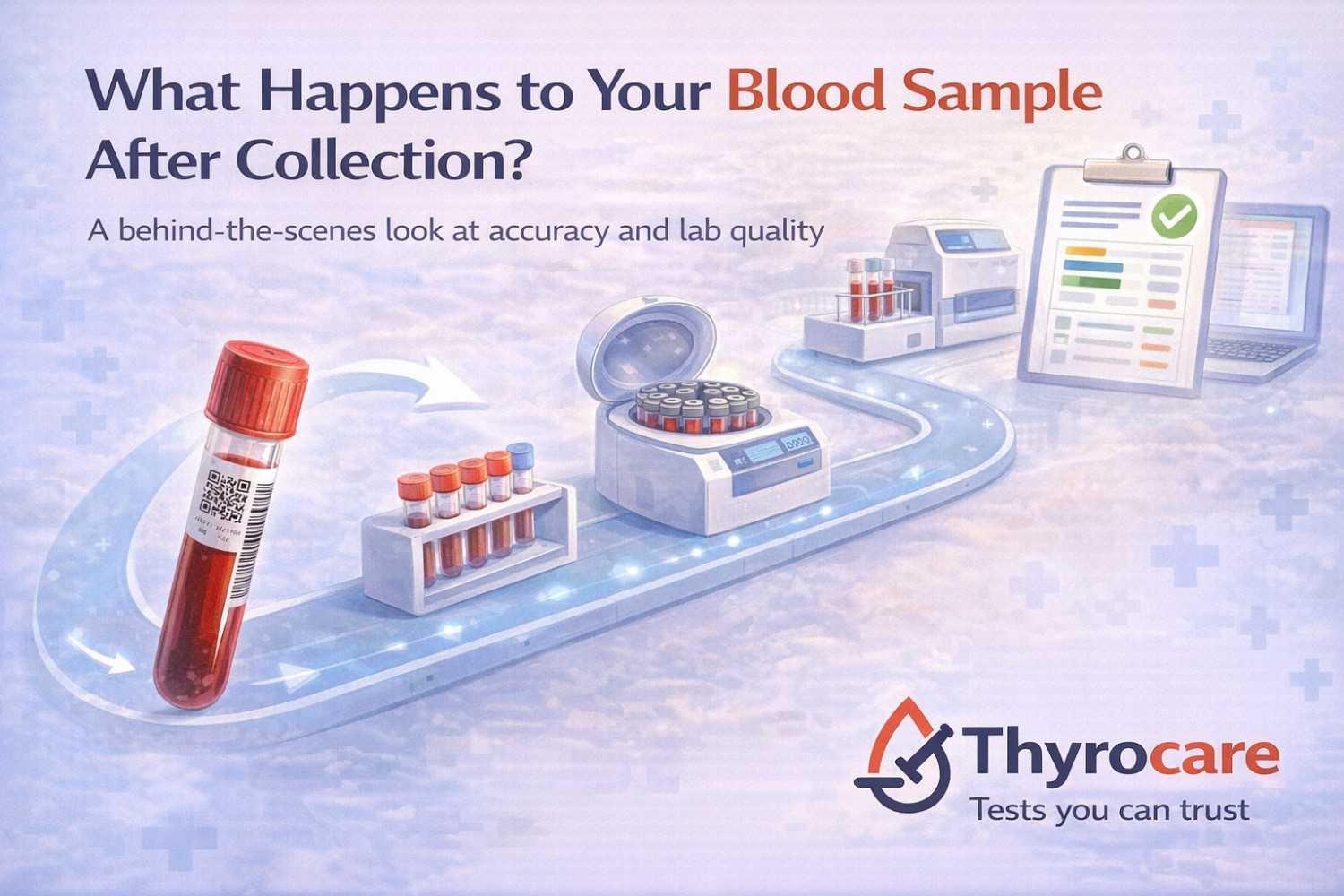 What Happens to Your Blood Sample After Collection?